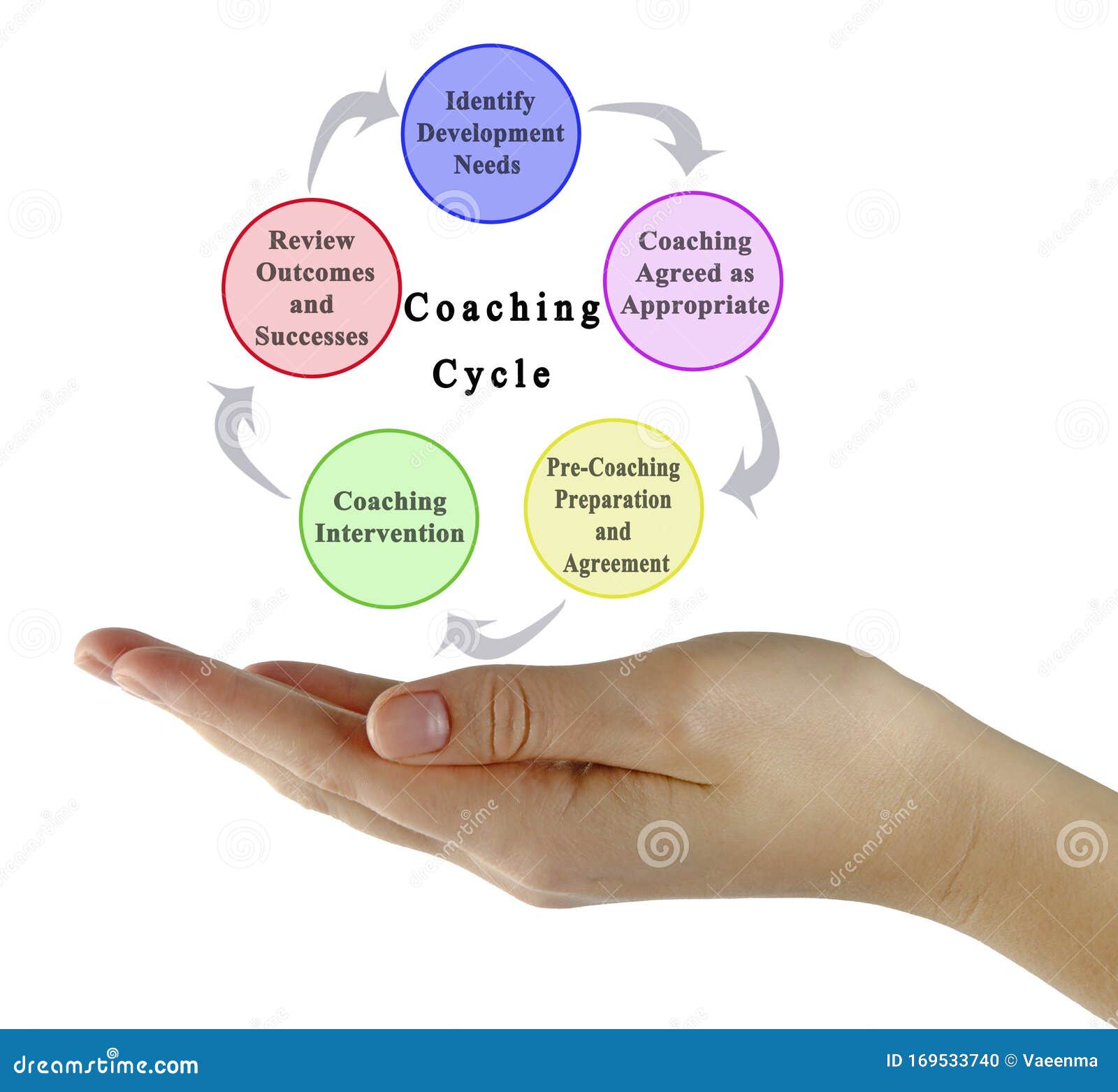 Components of Coaching Cycle Stock Photo - Image of process, five ...