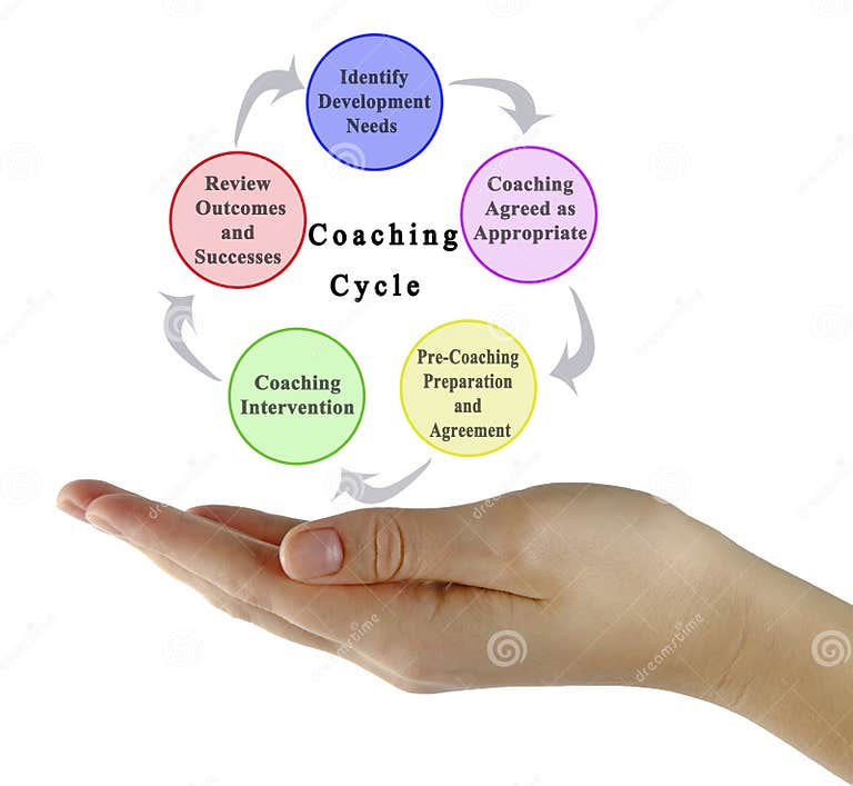 Components of Coaching Cycle Stock Photo - Image of process, five ...