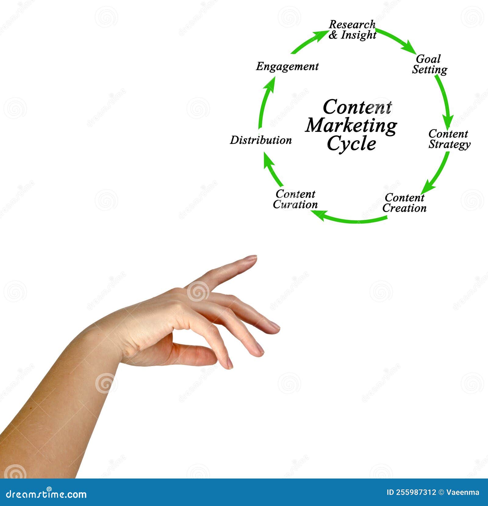 Content Marketing Cycle stock photo. Image of research - 255987312