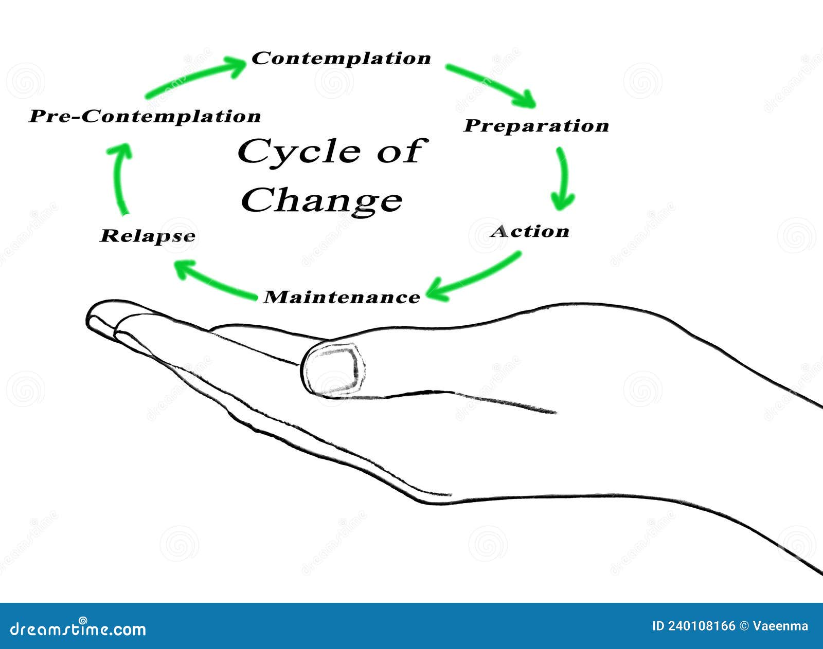 Cycle Of Change Model Explanation With Labeled Process Stages Outline ...