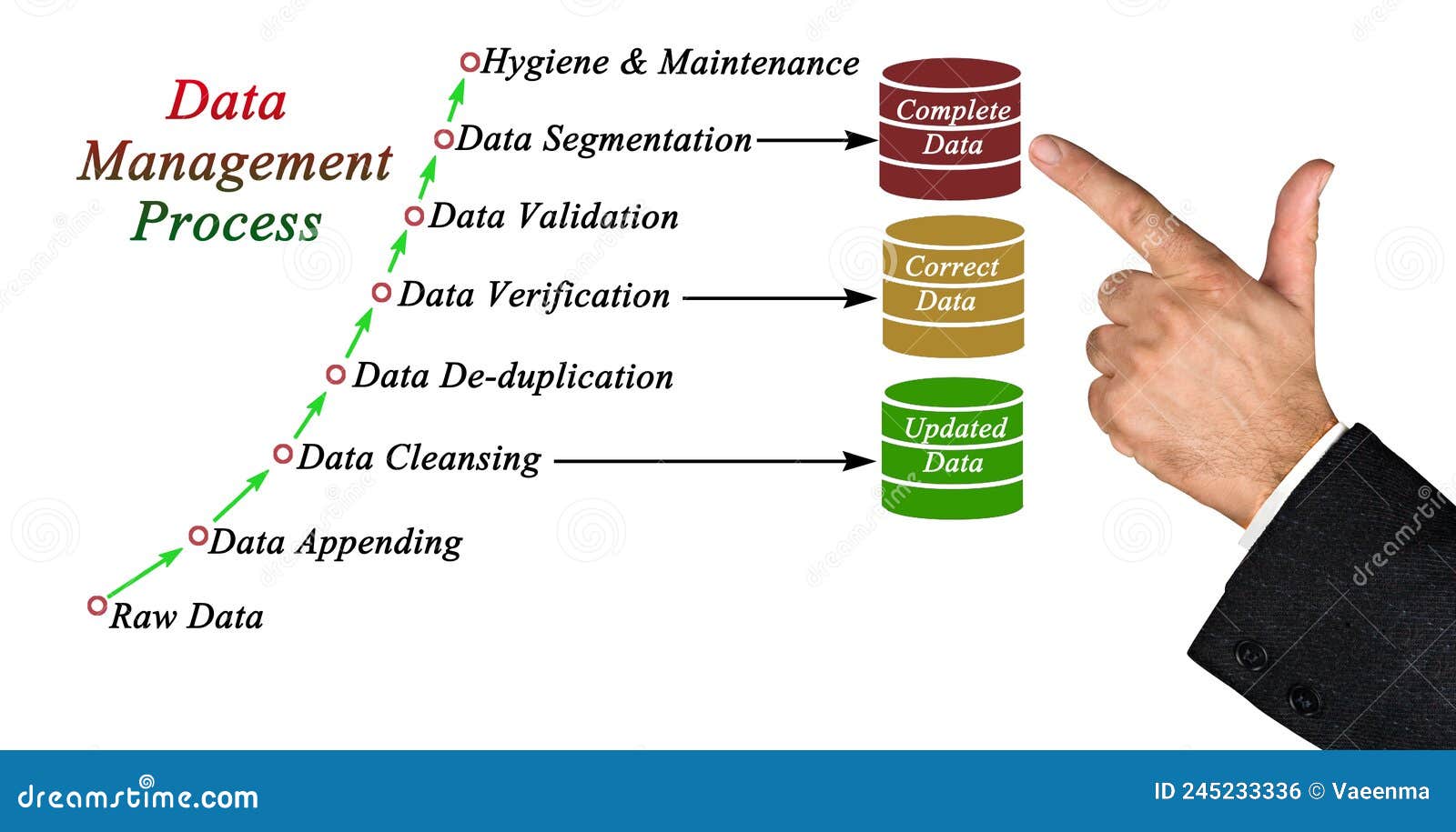 Data Management Process stock photo. Image of hand, validation - 245233336