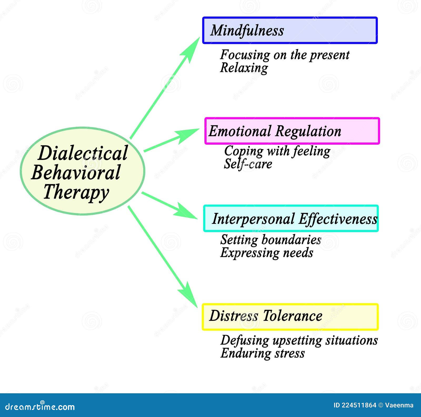 Dialectical Behavioral Therapy Stock Illustration - Illustration of ...