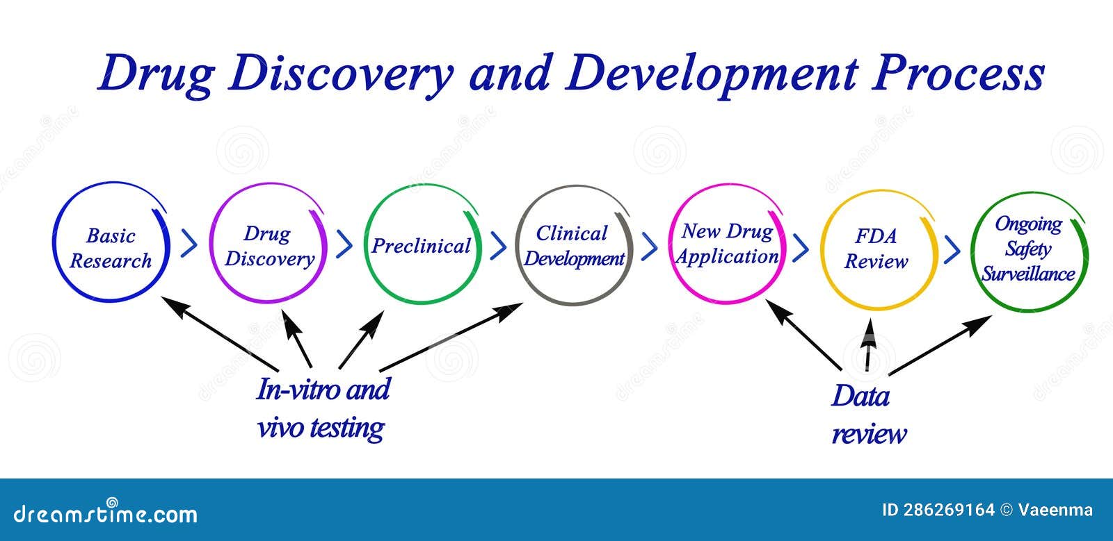 Drug Discovery and Development Process Stock Illustration ...