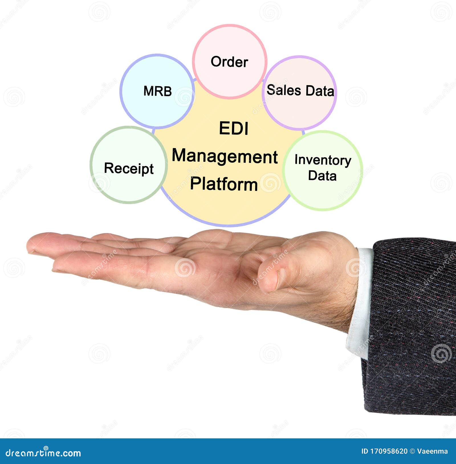 EDI Management Platform stock photo. Image of development - 170958620