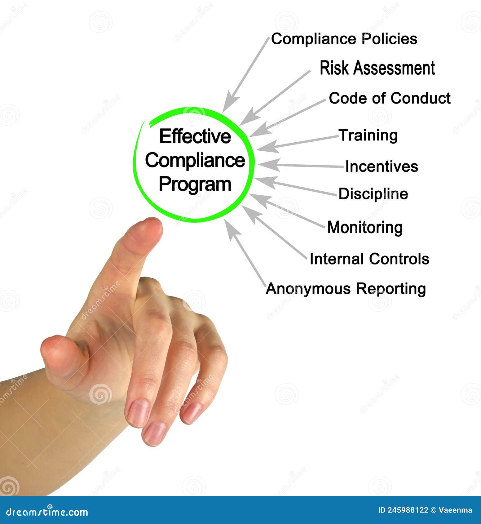Effective Compliance Program Stock Photo - Image of female, incentives ...