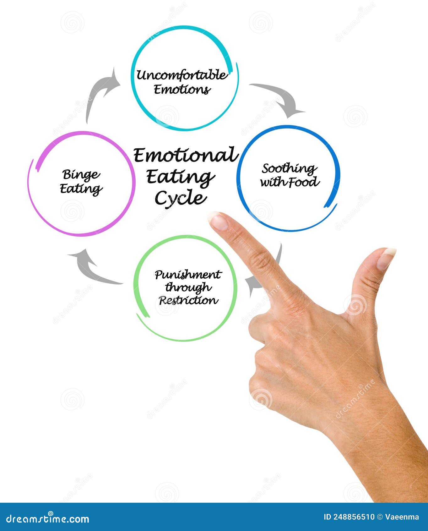 Emotional Eating Cycle stock photo. Image of hand, woman - 248856510