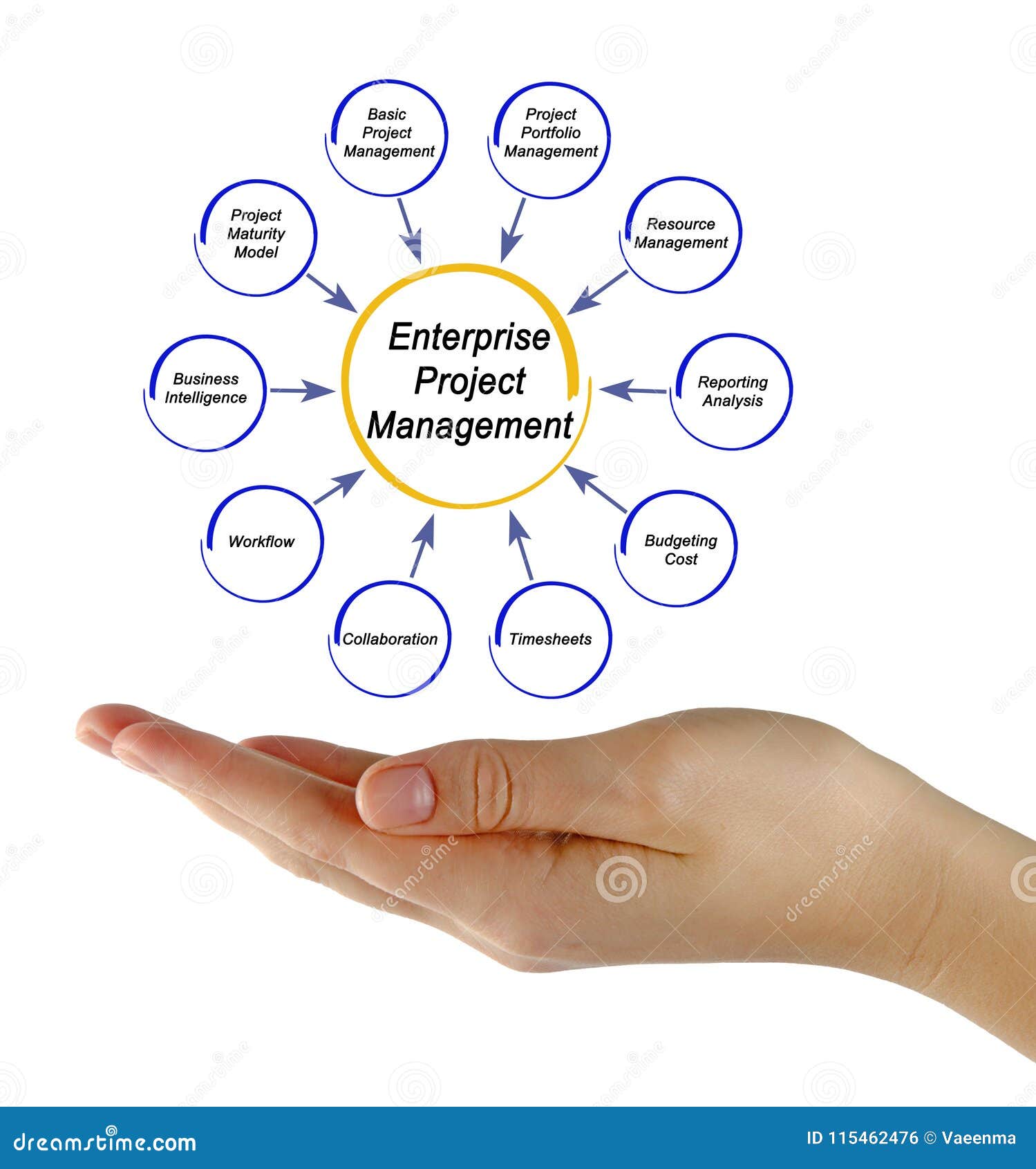 Enterprise Project Management Stock Photo - Image of basic, expert ...