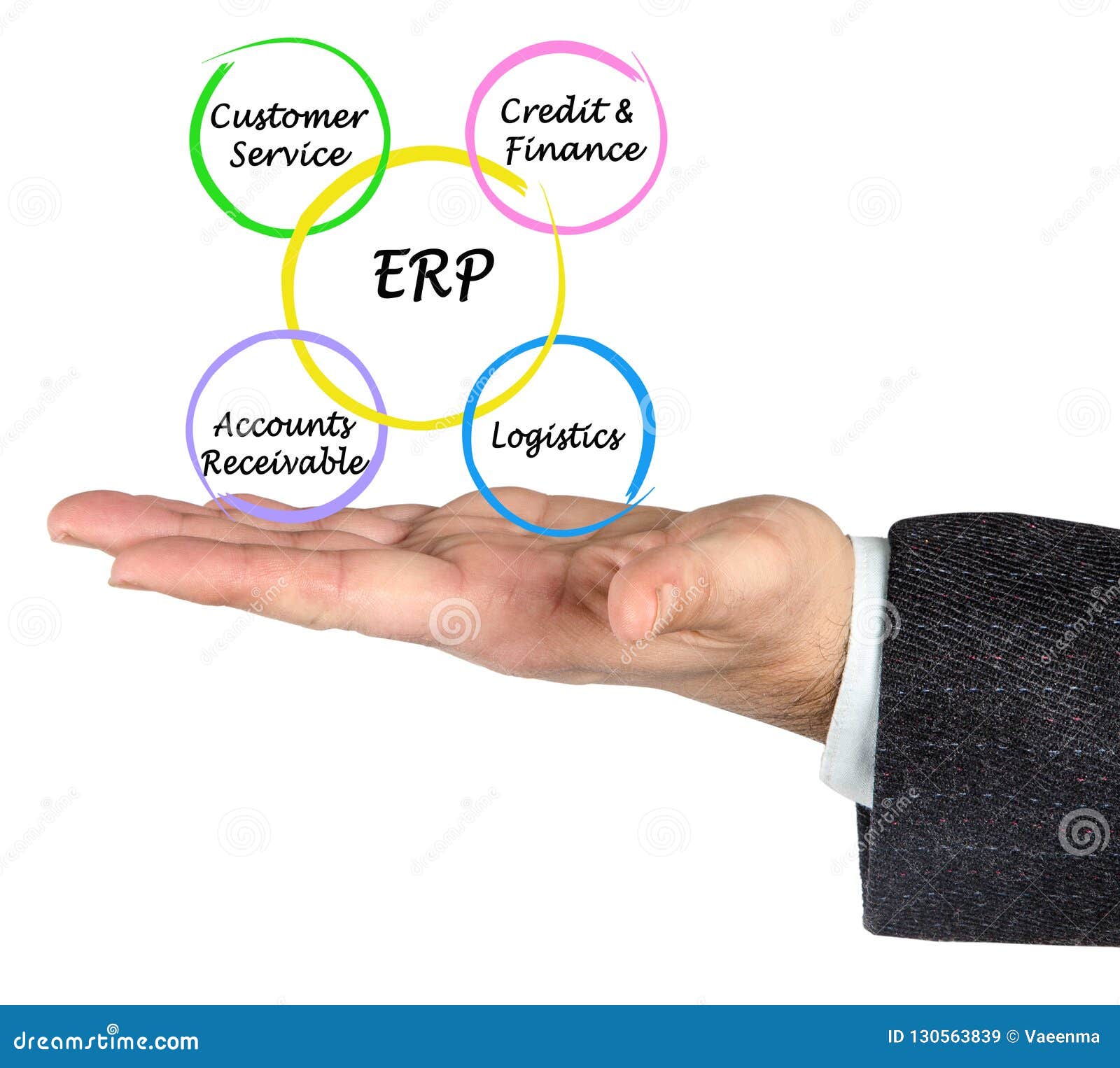 Components of ERP stock image. Image of person, program - 130563839