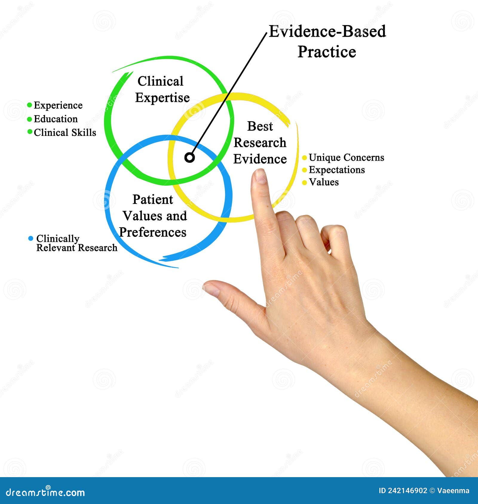 Evidence - Based Practice stock photo. Image of science - 242146902