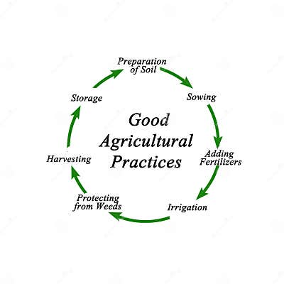 Components of Good Agricultural Practices Stock Image - Image of ...