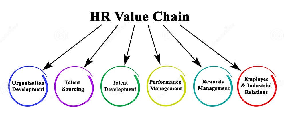 HR Value Chain stock illustration. Illustration of employee - 191880132