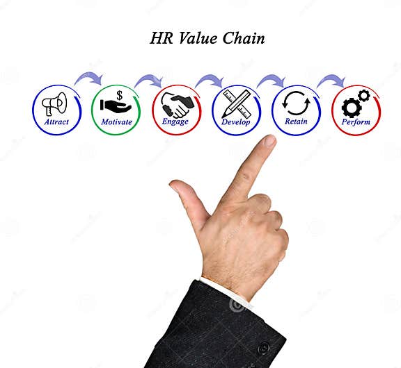 HR Value Chain stock photo. Image of salary, lecturer - 126809502