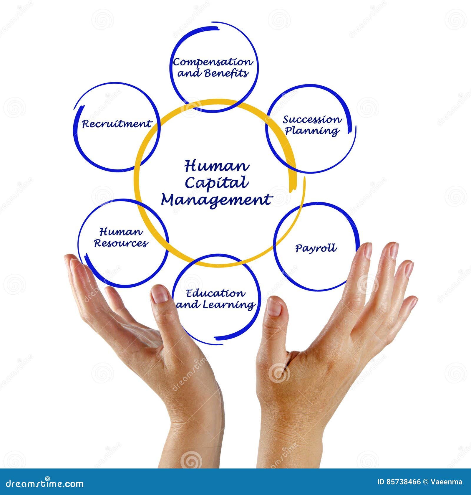 Components Of Capital Structure Royalty-Free Stock Photography ... Components Of Capital Structure Royalty-Free Stock Photography ...