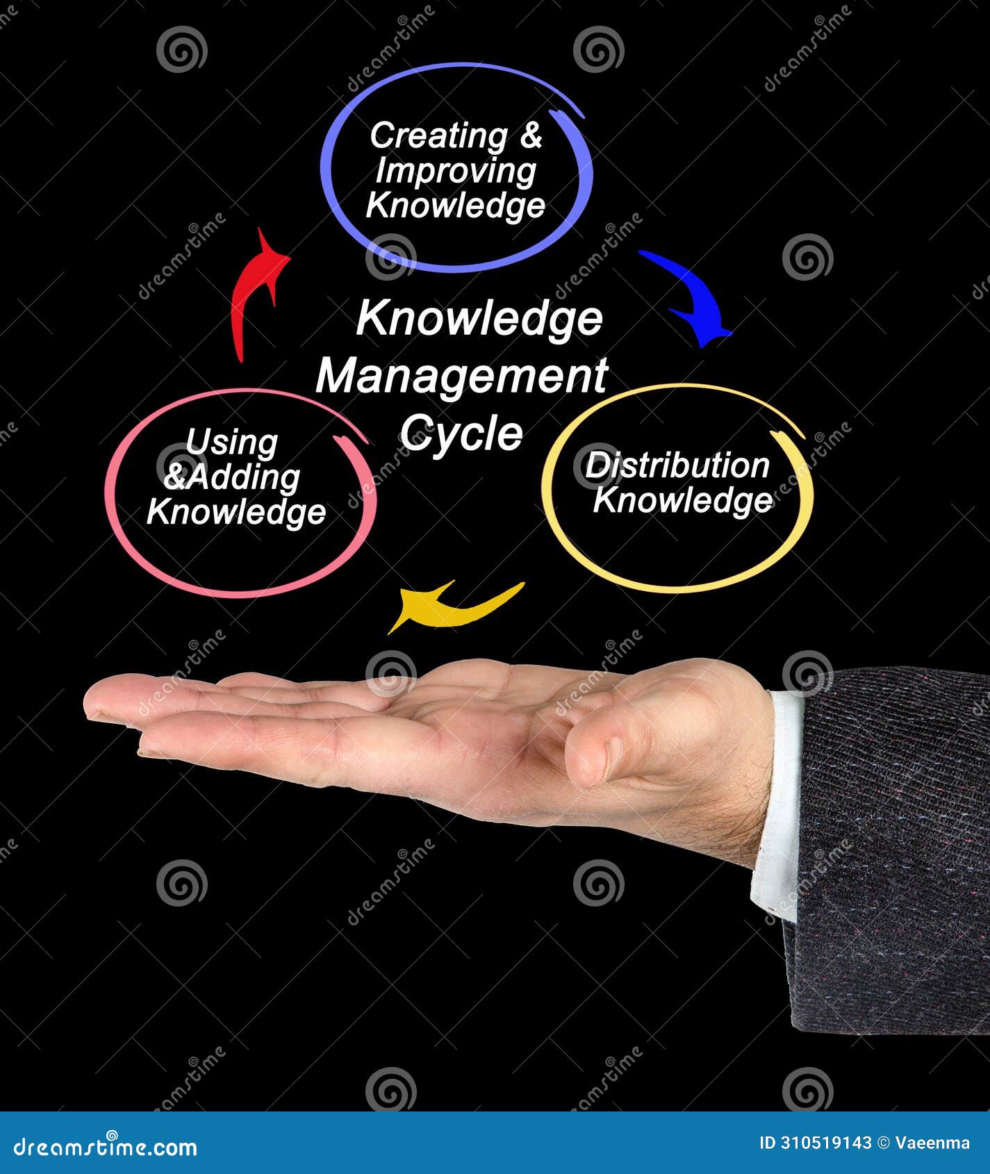 Knowledge Management Cycle stock image. Image of male - 310519143