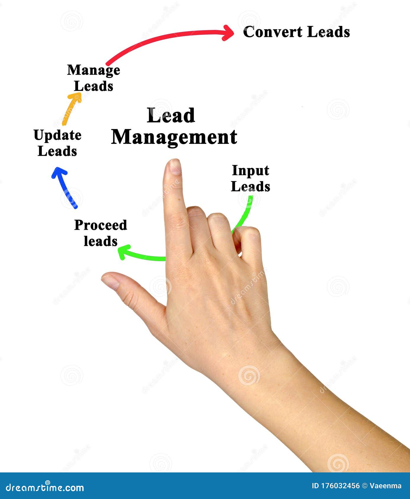 Lead management process stock photo. Image of business - 176032456