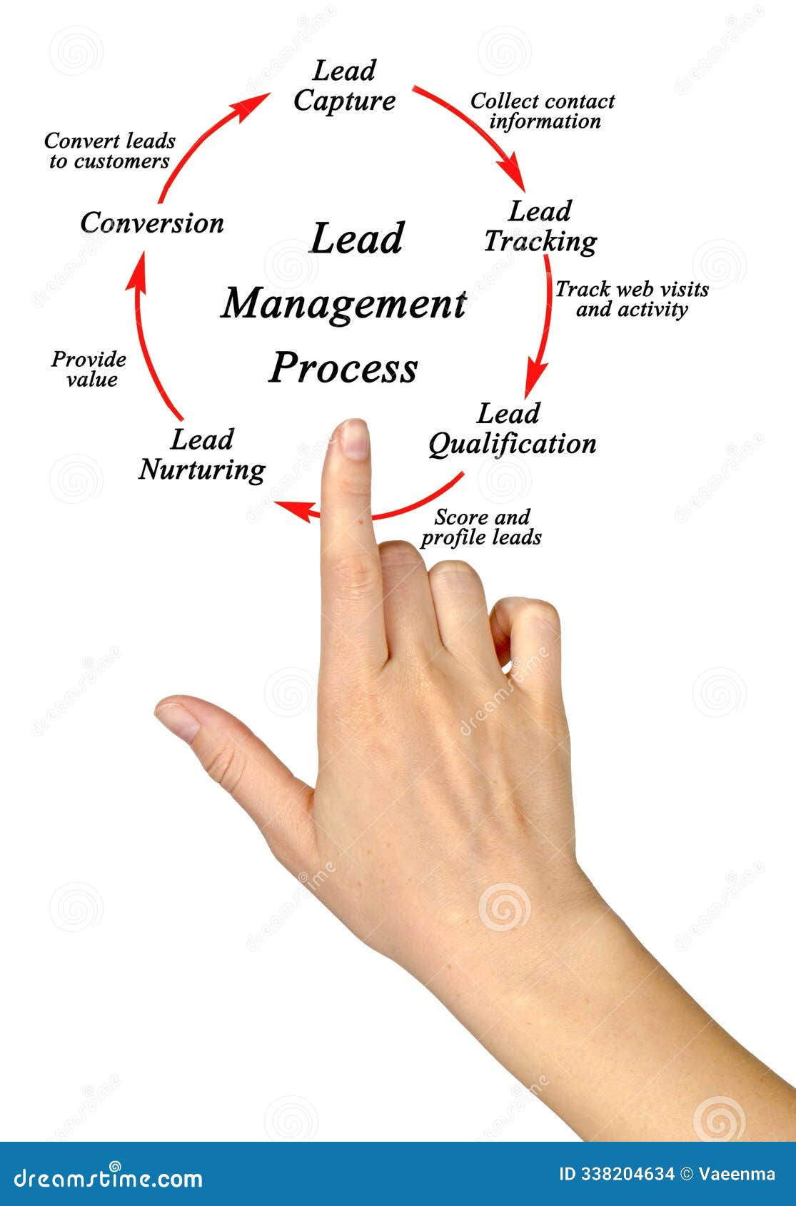 Components of Lead Management Process Stock Photo - Image of process ...