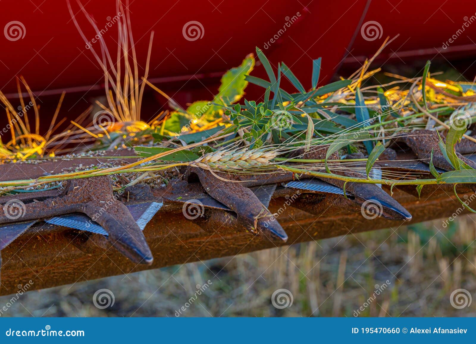 Components and Parts of the Combine Close-up Stock Photo - Image of ...