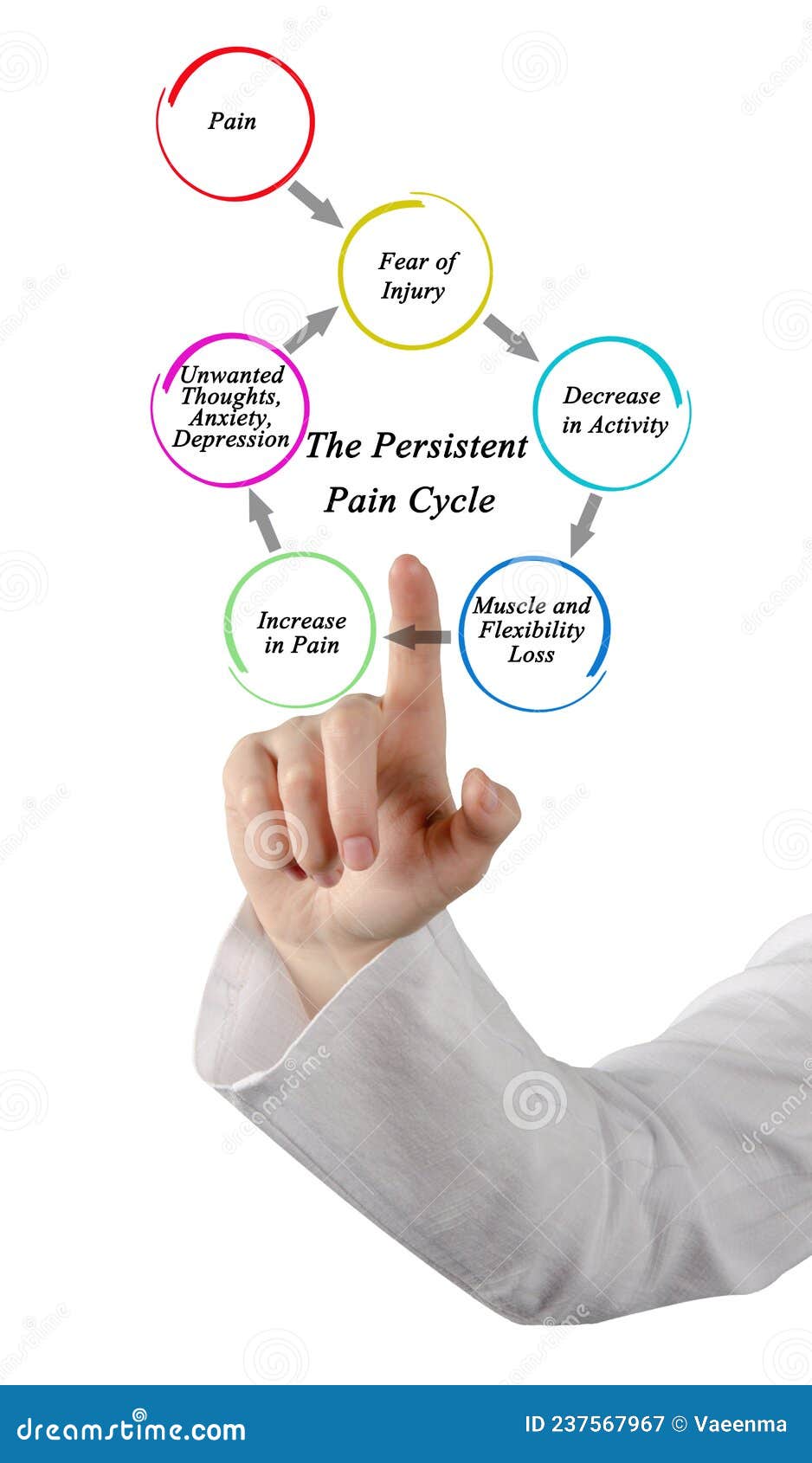 Components of Persistent Pain Cycle Stock Image - Image of therapy ...