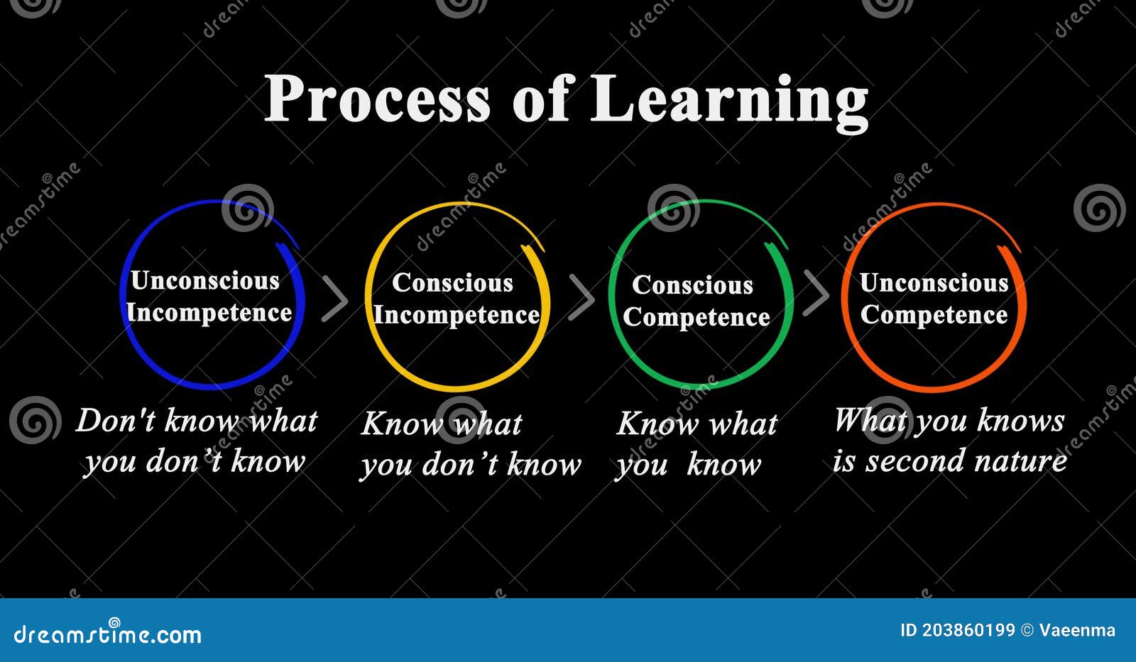 From Unconscious Incompetence To Unconscious Competence Royalty-Free ...
