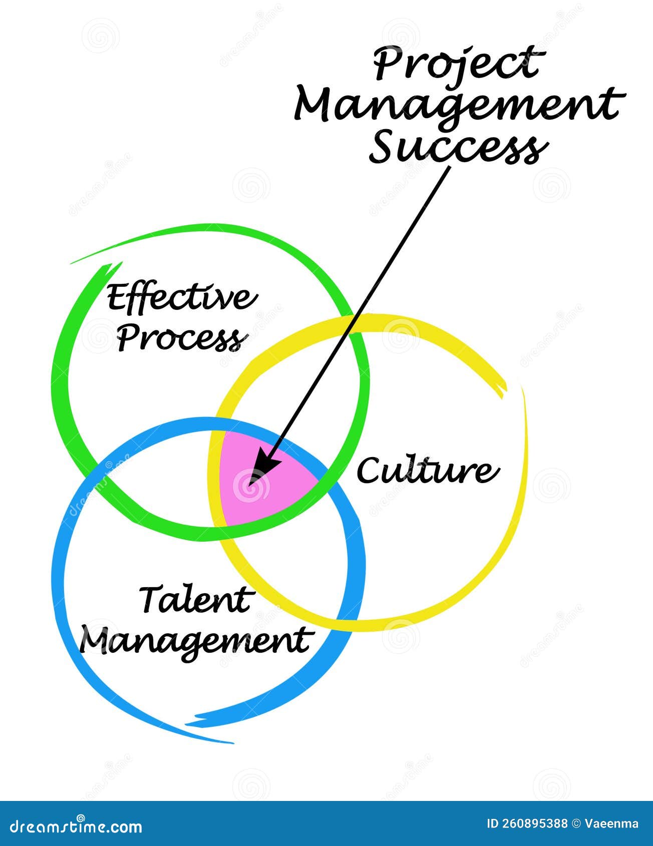 Project Management Success stock illustration. Illustration of ...