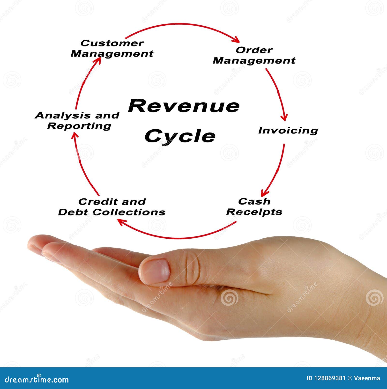 Components of Revenue Cycle Stock Image - Image of woman, commerce ...