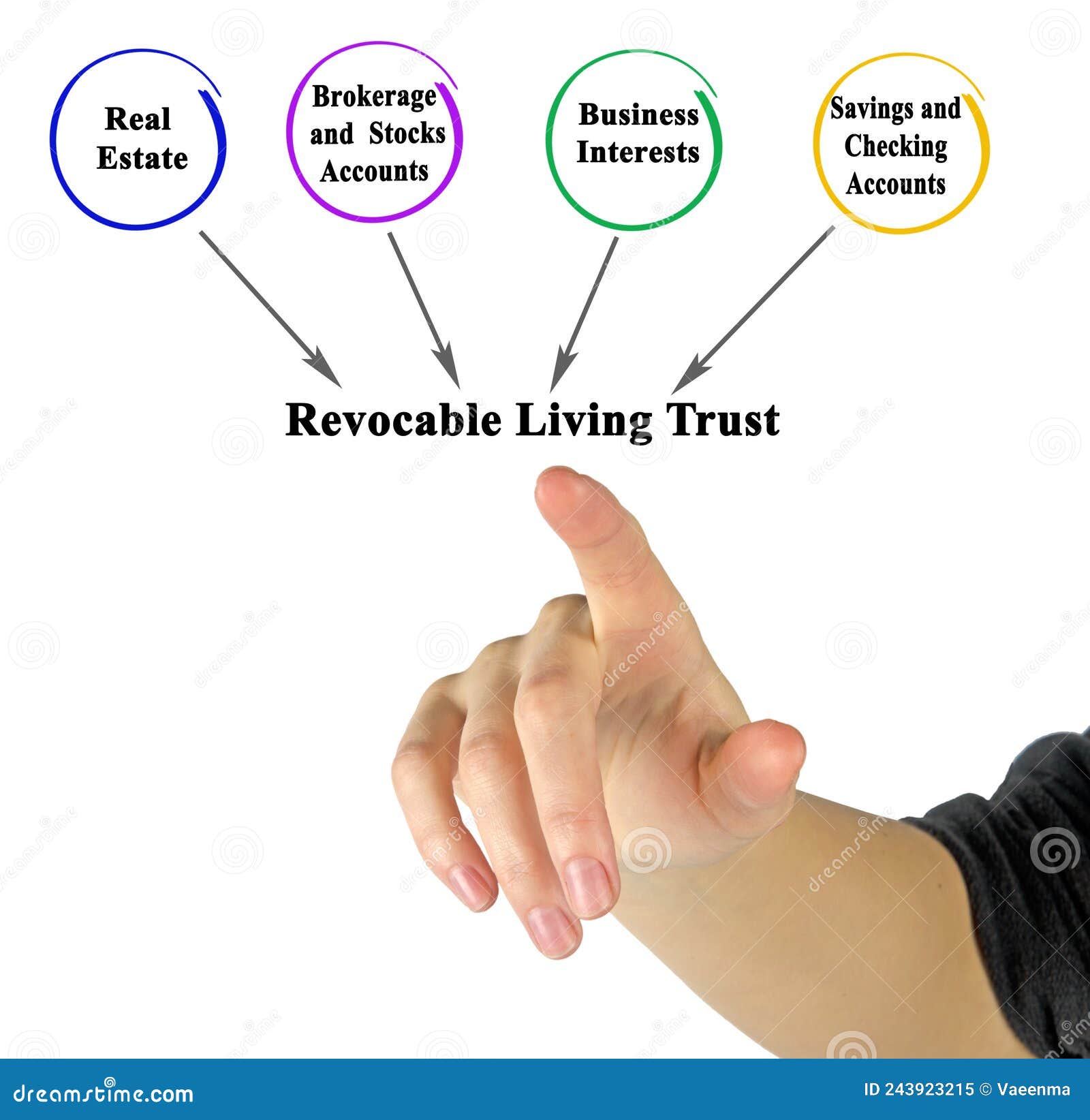 Components of Revocable Living Trust Stock Illustration - Illustration ...