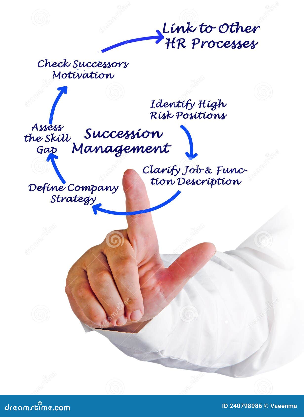 Components of Succession Management Stock Photo - Image of succession ...