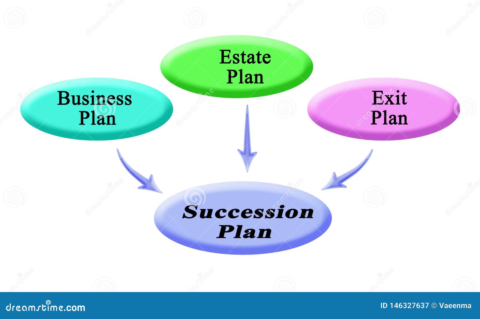 Components of Succession Plan Stock Image - Image of succession ...