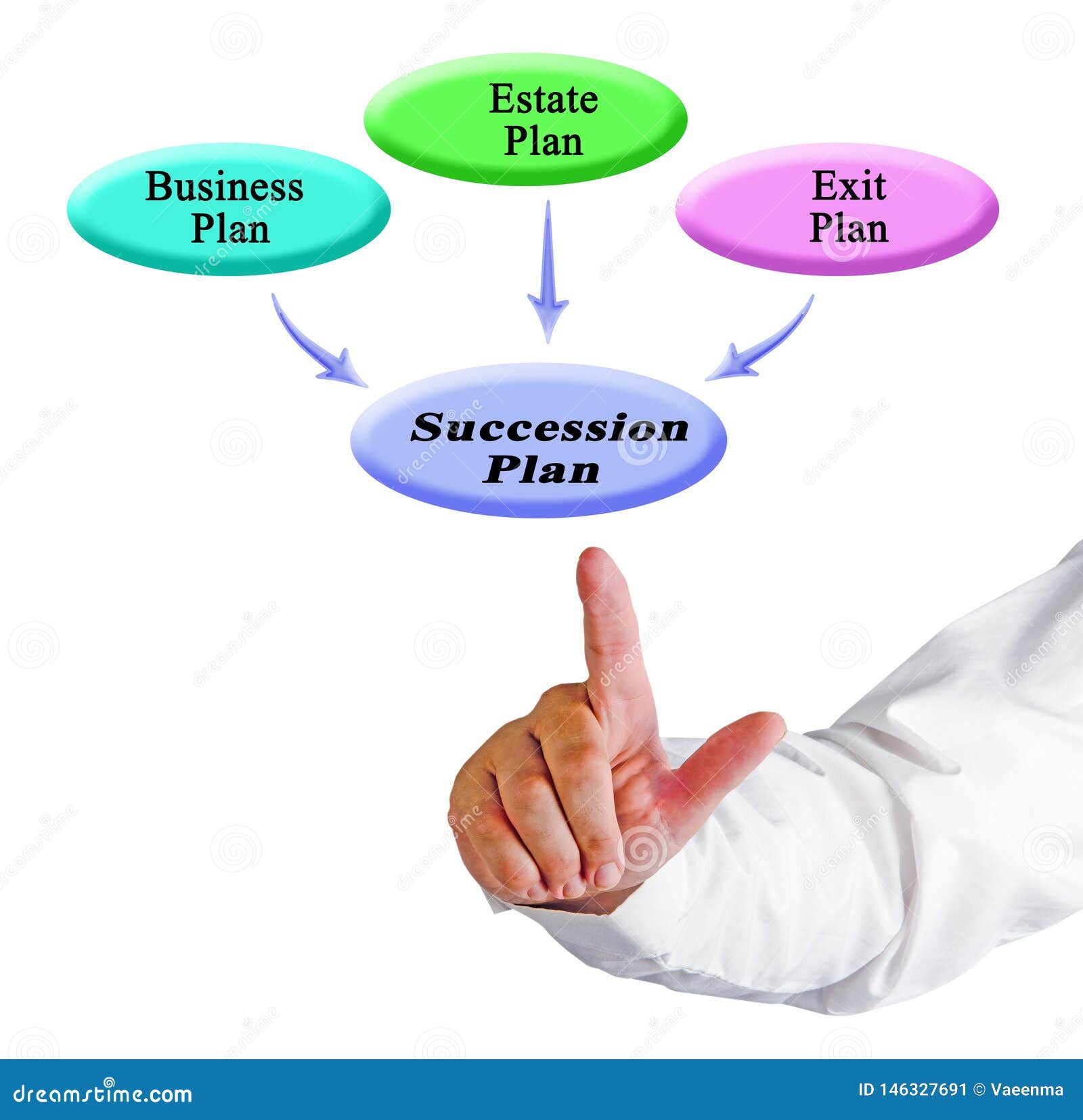 Components of Succession Plan Stock Image - Image of estate, expert ...