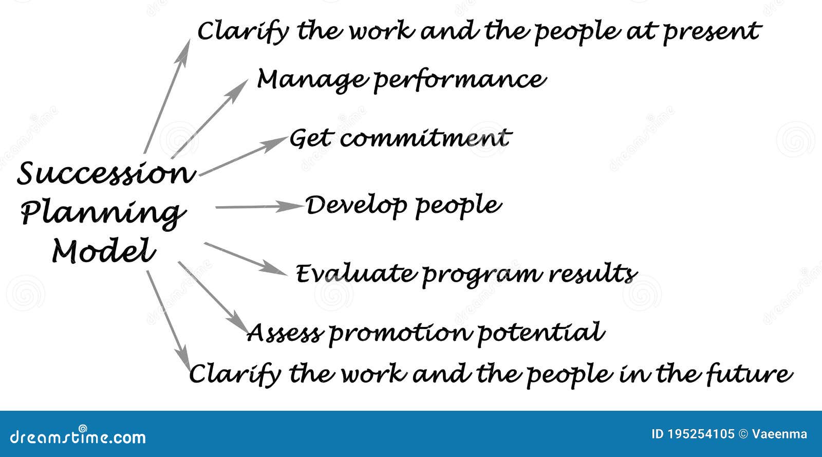 Succession Planning Process Stock Image | CartoonDealer.com #94355251