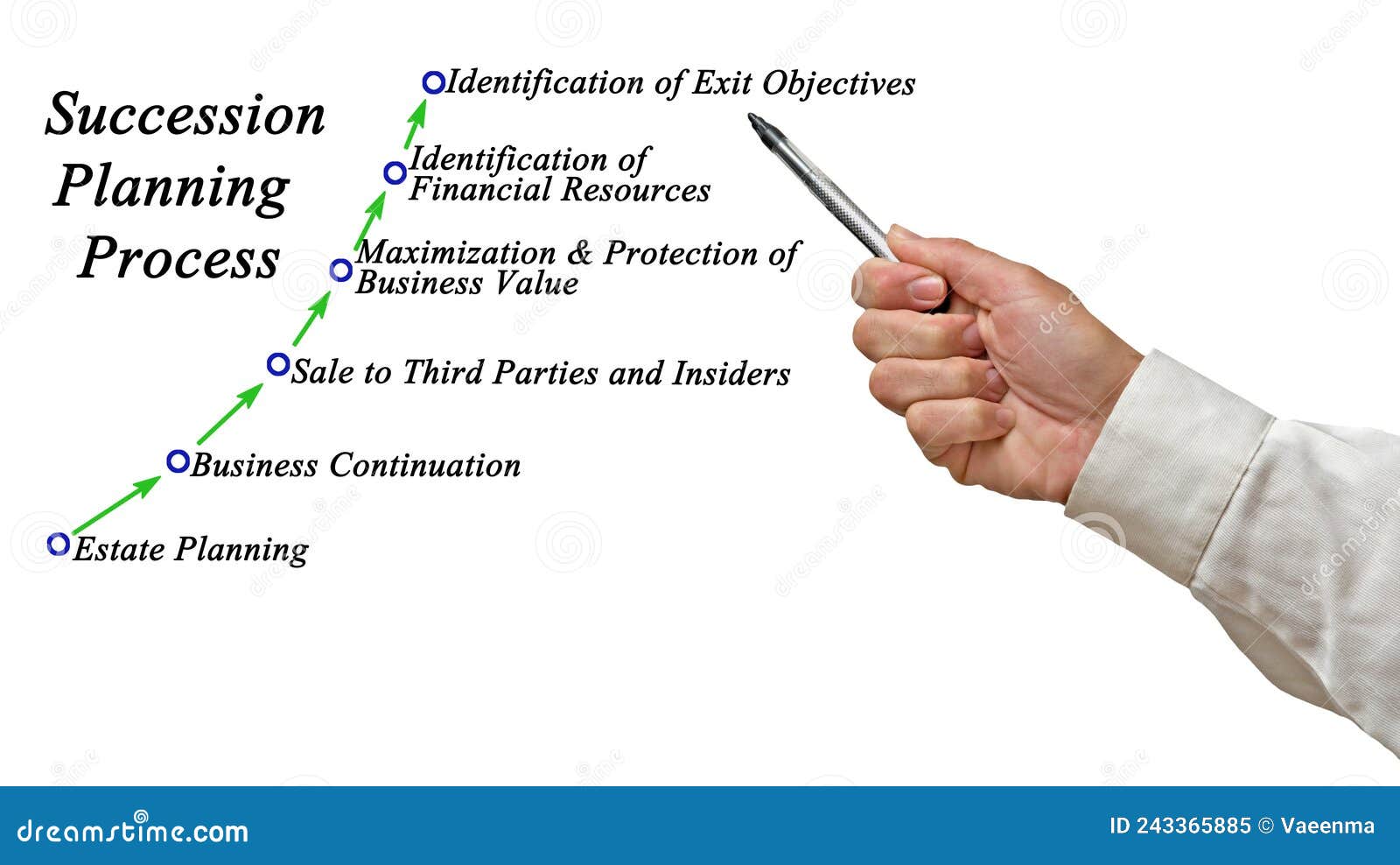 Succession Planning Process Stock Image - Image of commerce, succession ...