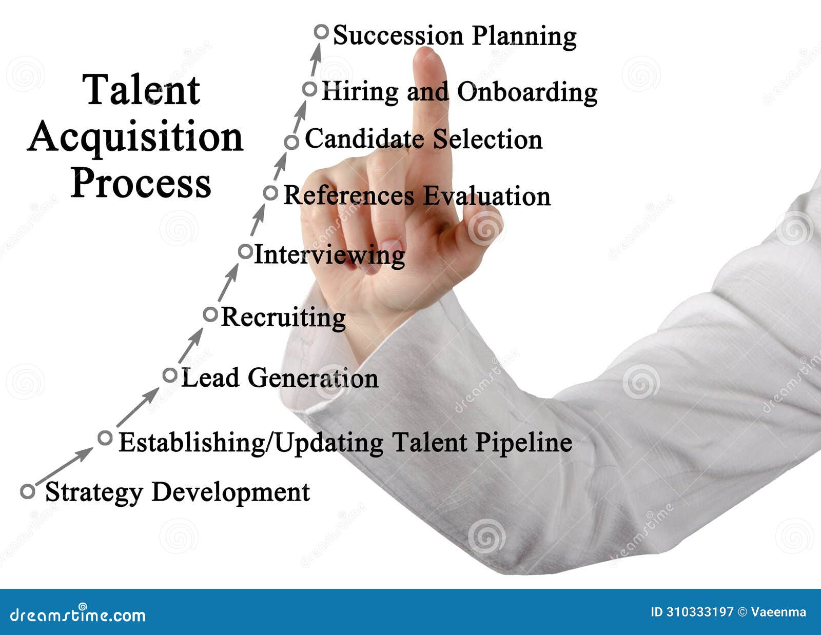 Talent Acquisition Process stock image. Image of establishing - 310333197