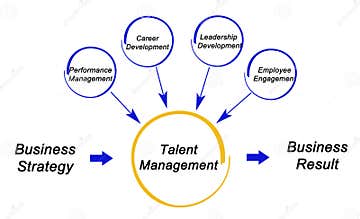 Talent Management Process stock illustration. Illustration of employee ...