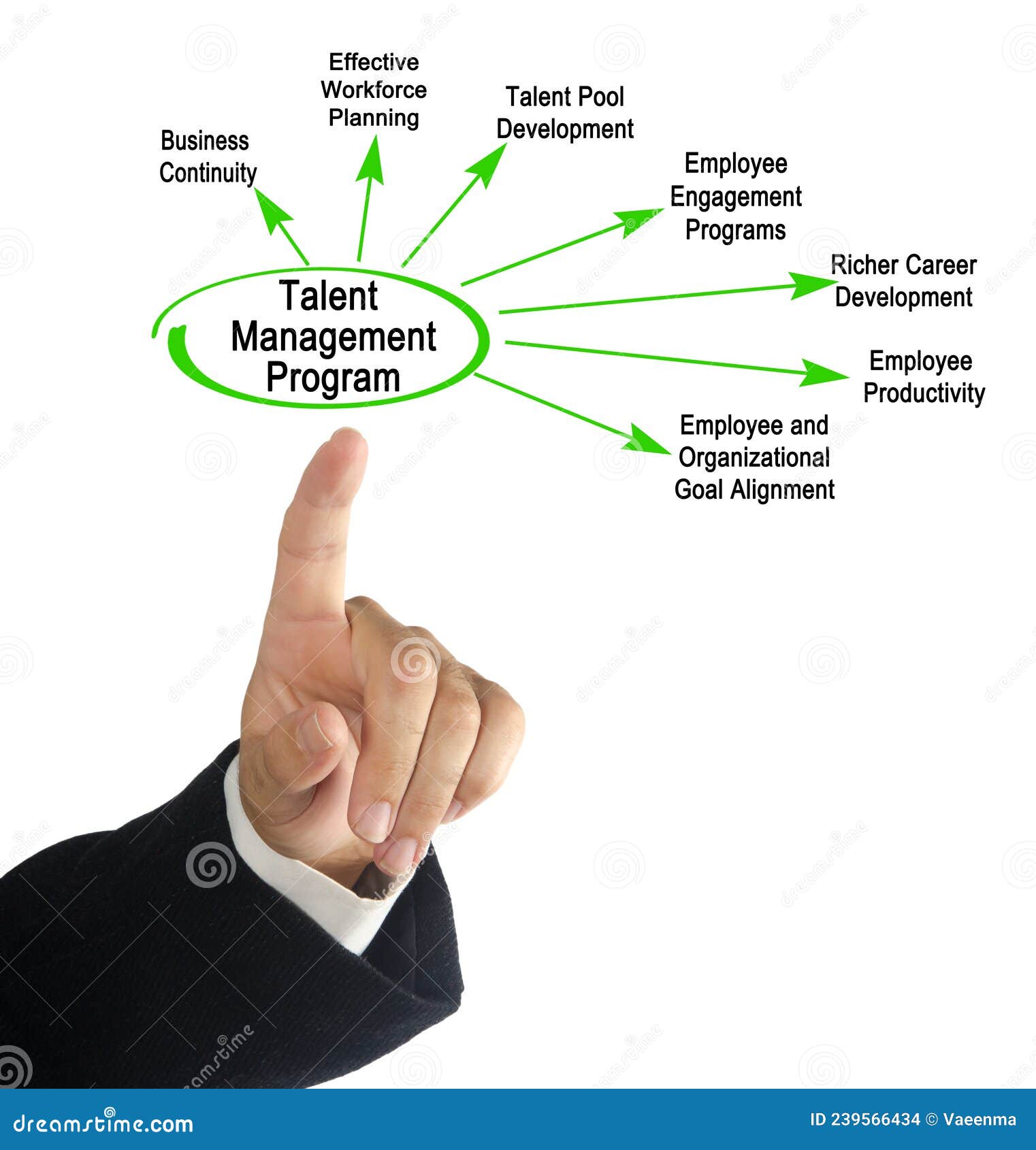 Talent Management Program stock photo. Image of richer - 239566434