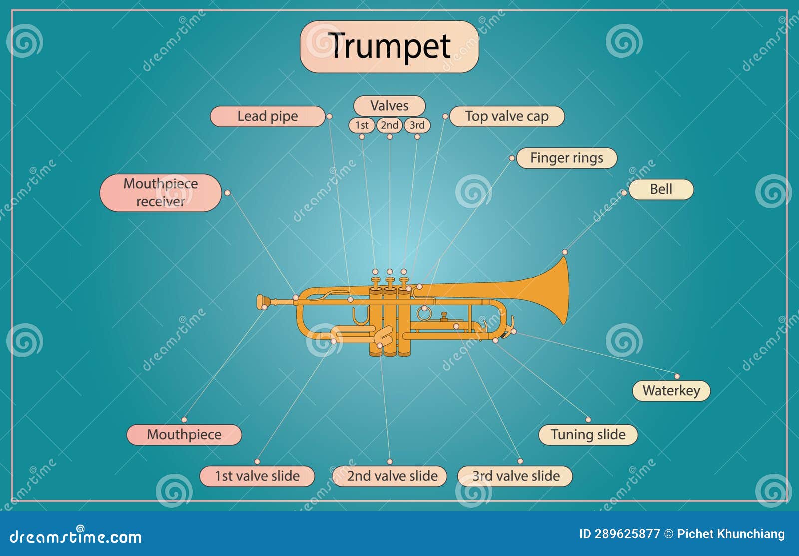 Components of a Trumpet Instrument Stock Vector - Illustration of font ...