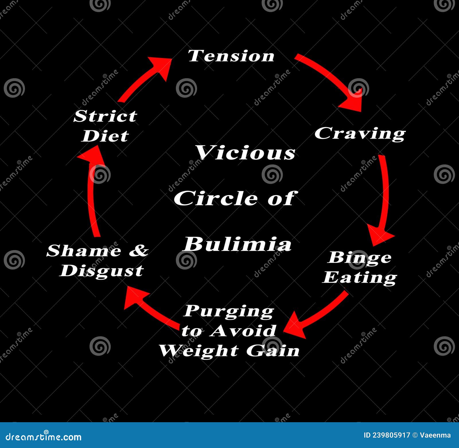 Components Of Binge Cycle Royalty-Free Stock Image | CartoonDealer.com ...