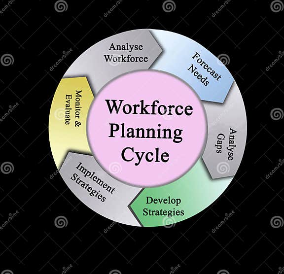 Components of Workforce Planning Cycle Stock Illustration ...