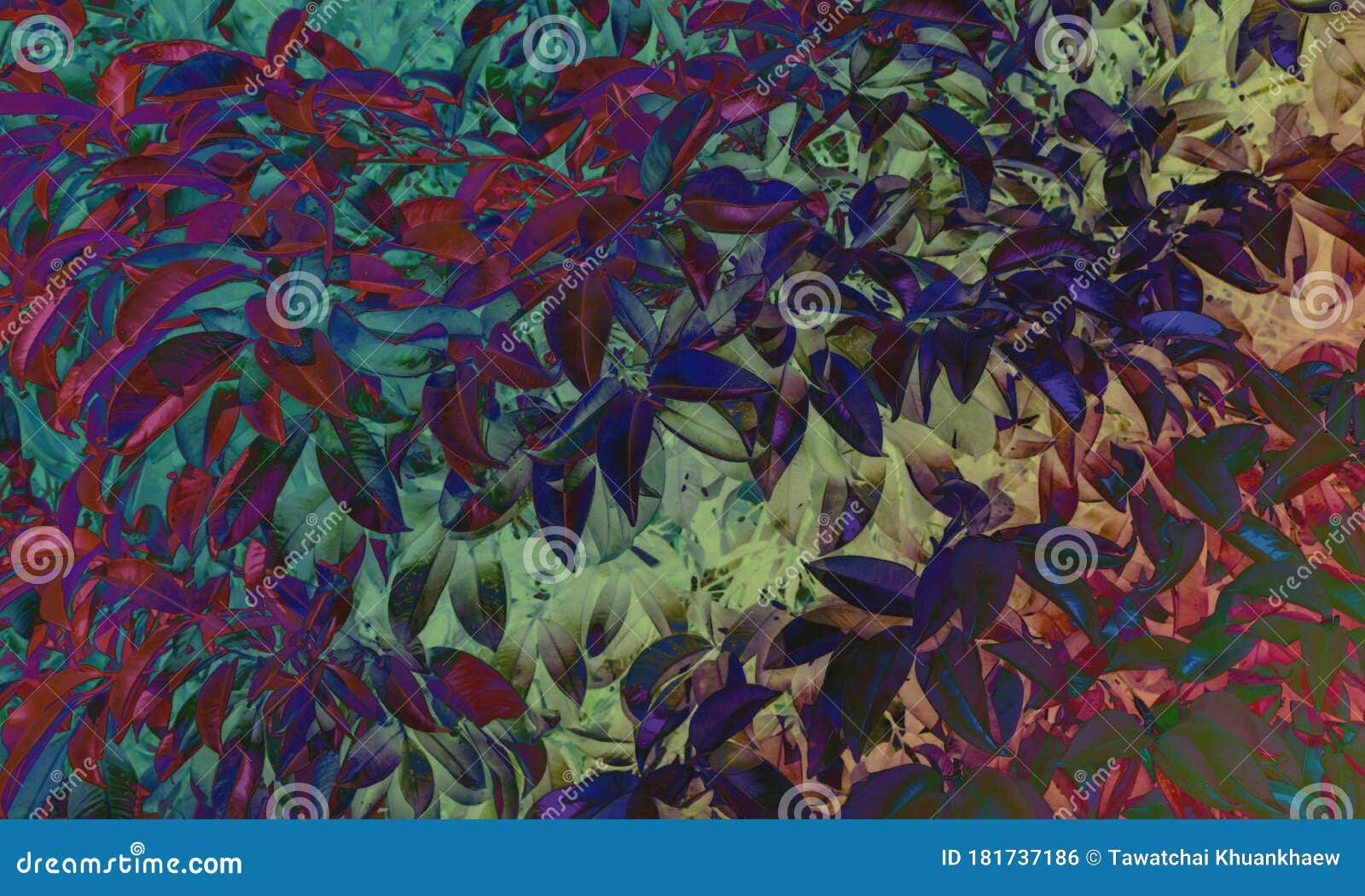 Composing Abstract Images of Leaf Backgrounds Stock Photo - Image of ...