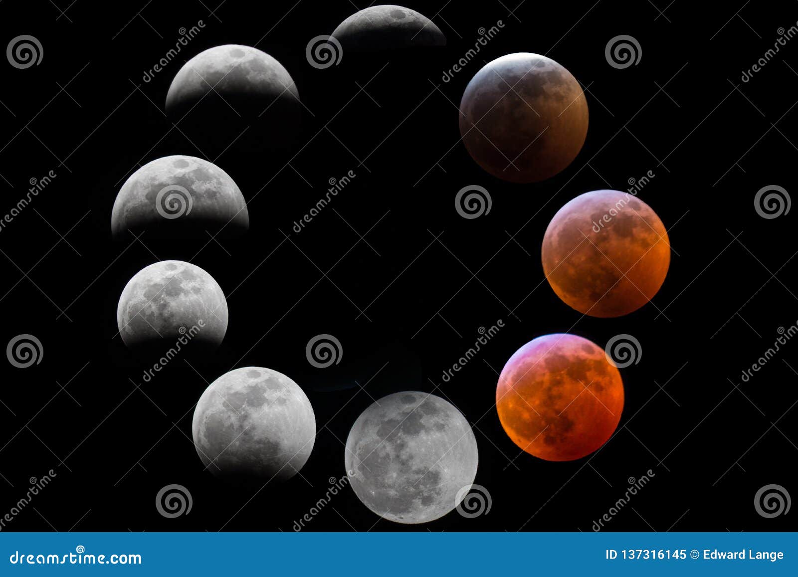 Composit Of The Moon Phases During An Eclipse Stock Image ...