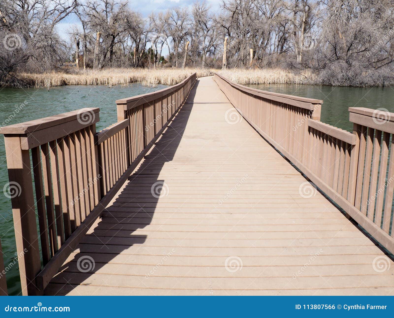 Composite deck walkway stock photo. Image of maintenance - 113807566