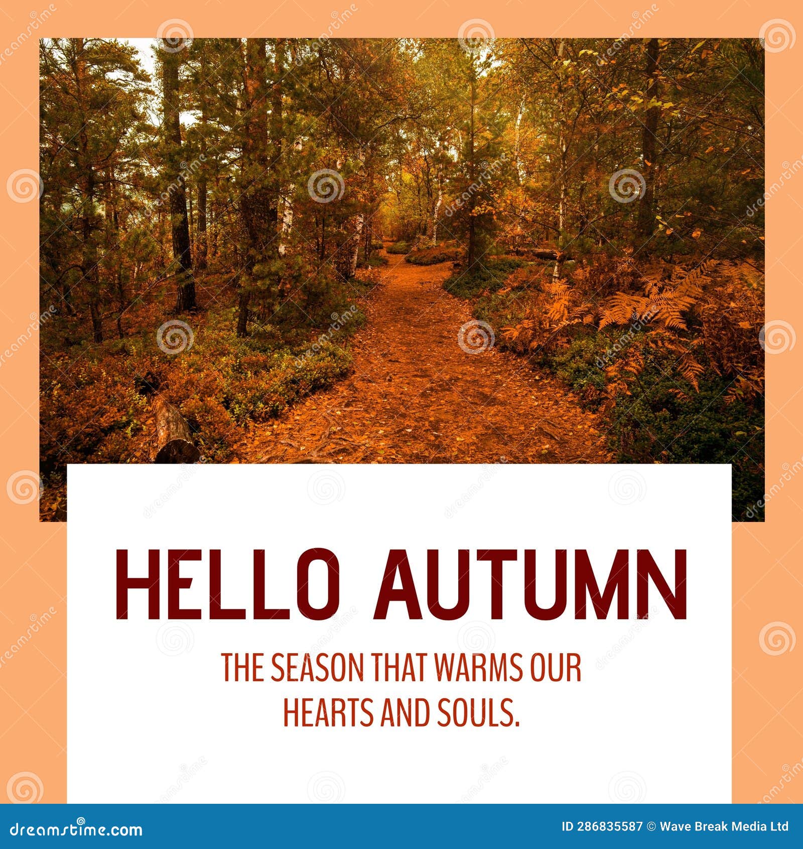 Composite Of Hello Autumn Text Over Autumn Forest Stock Photography ...