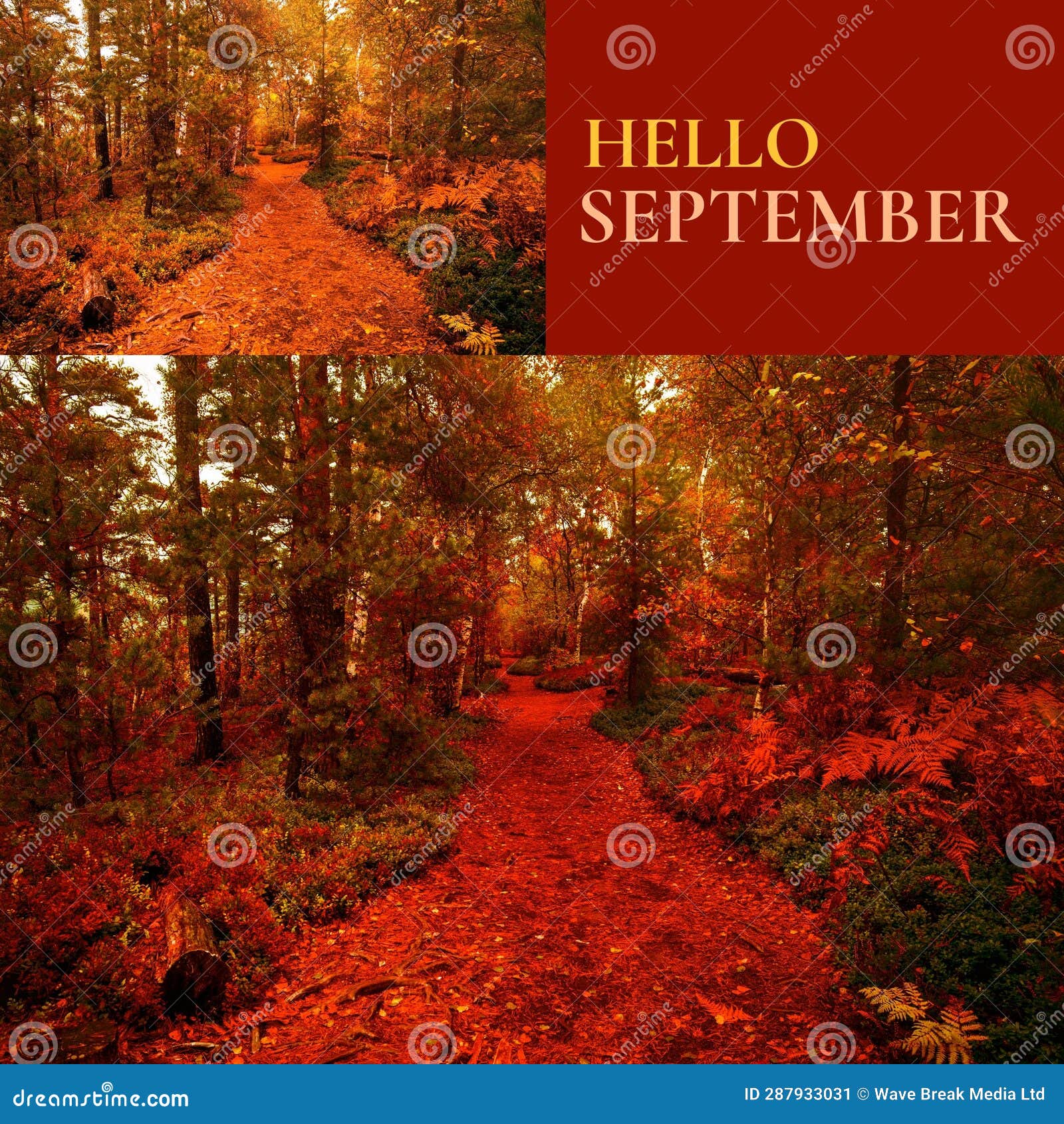 Composite of Hello September Text Over Autumn Trees Stock Image - Image ...