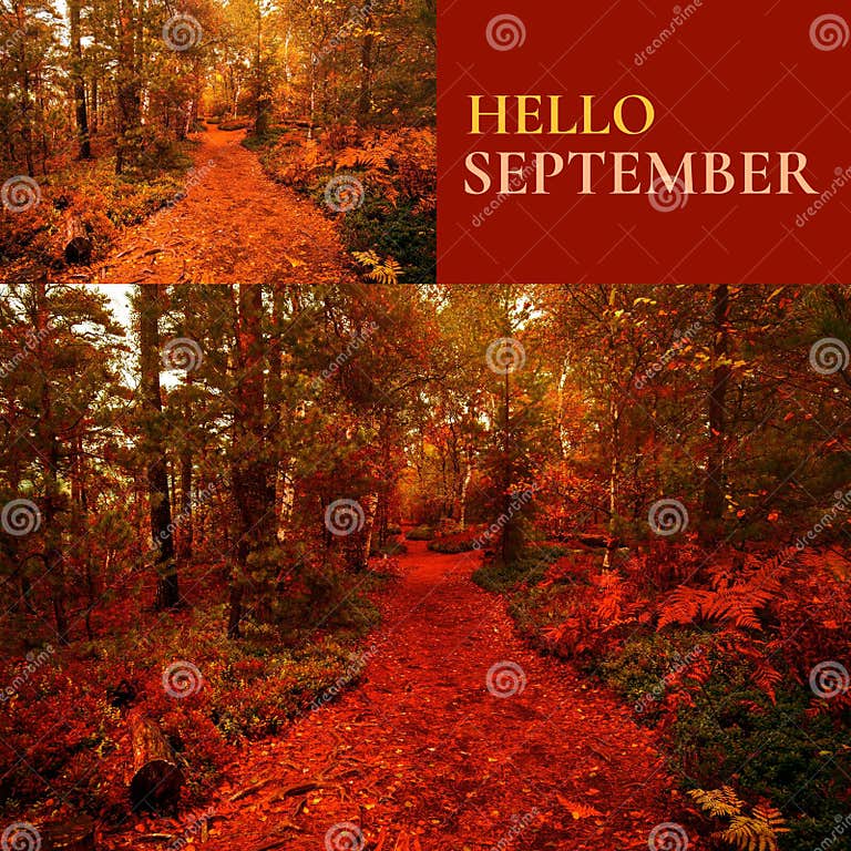 Composite of Hello September Text Over Autumn Trees Stock Image - Image ...