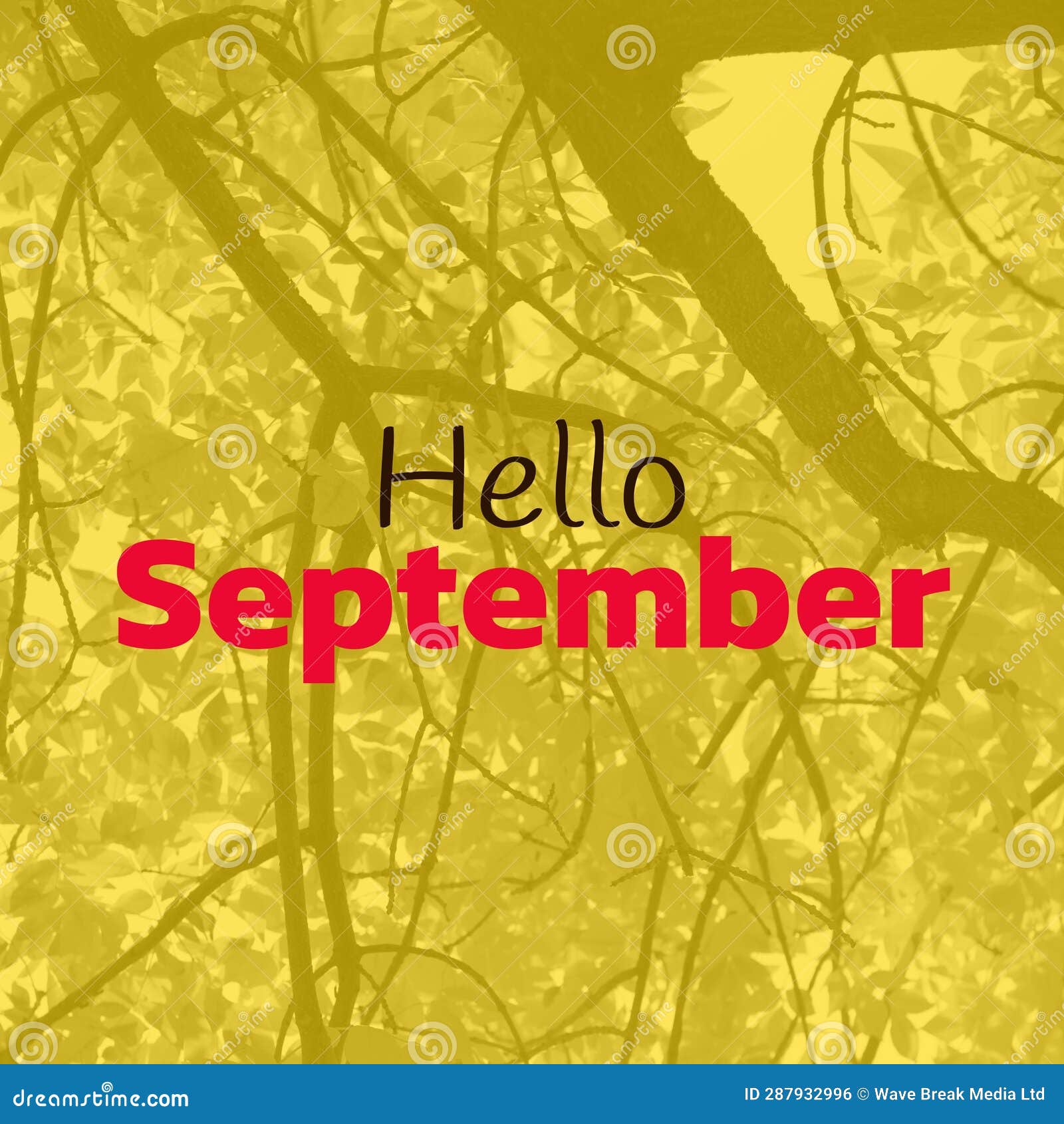 Composite of Hello September Text Over Trees in Garden Stock Photo ...