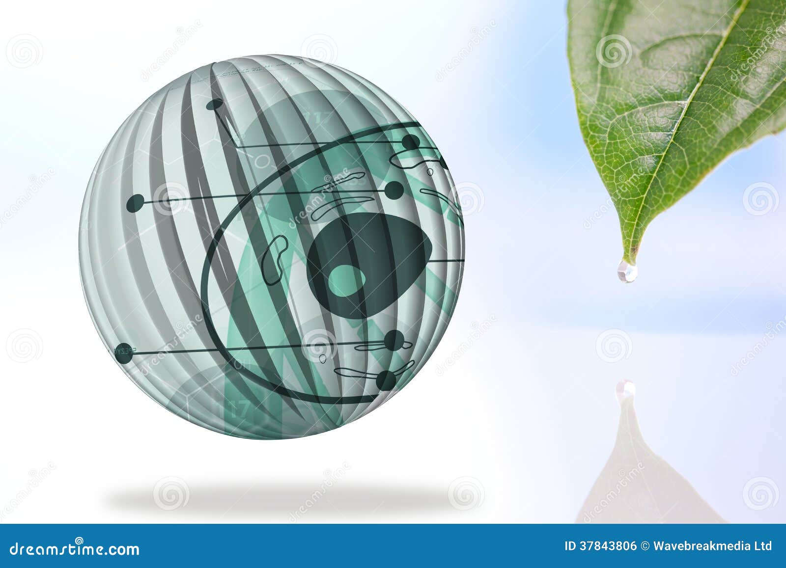 Composite Image of Biology Diagram on Abstract Screen Stock Photo ...