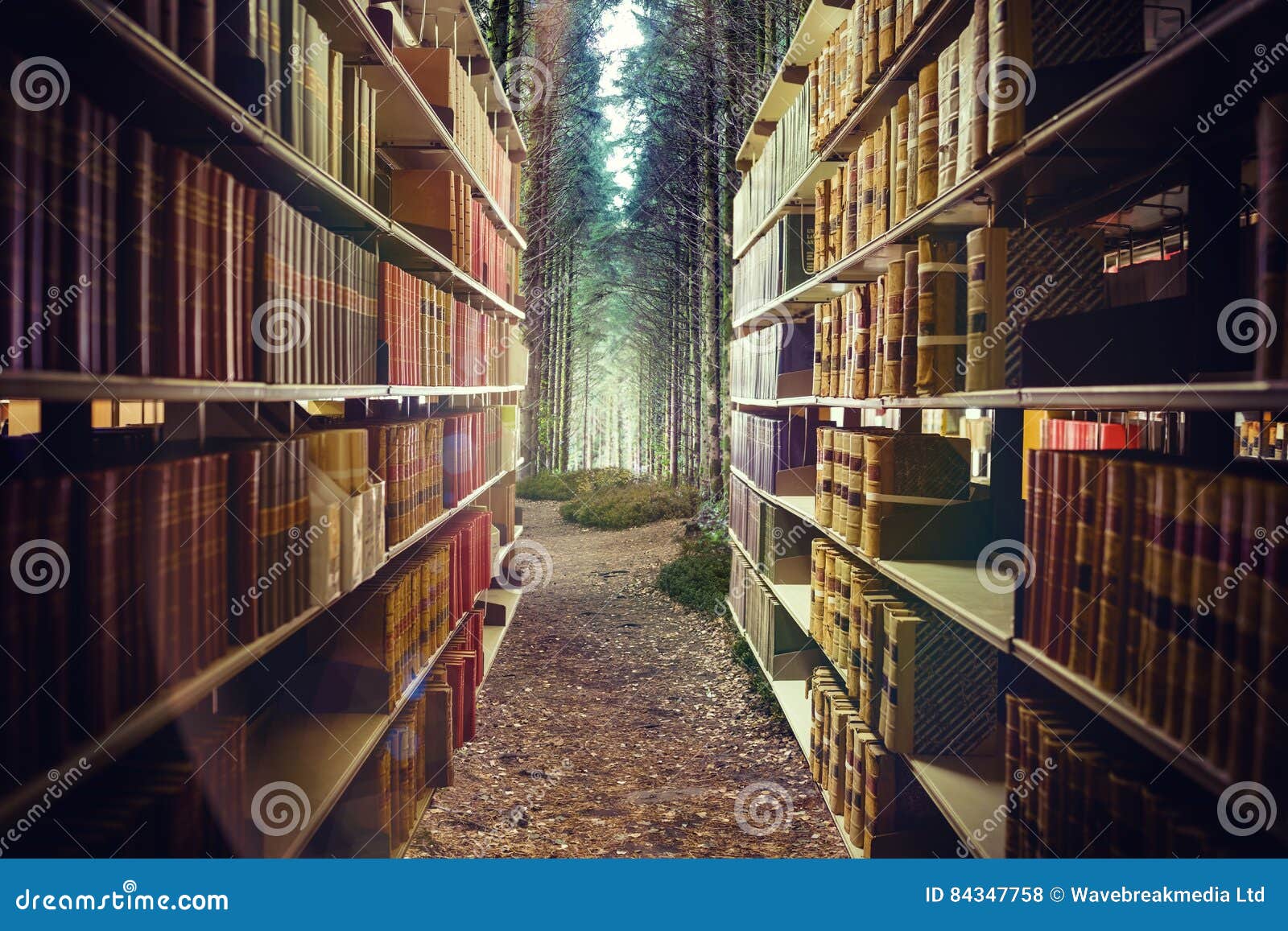 Composite Image of Close Up of a Bookshelf 3d Stock Photo - Image of ...