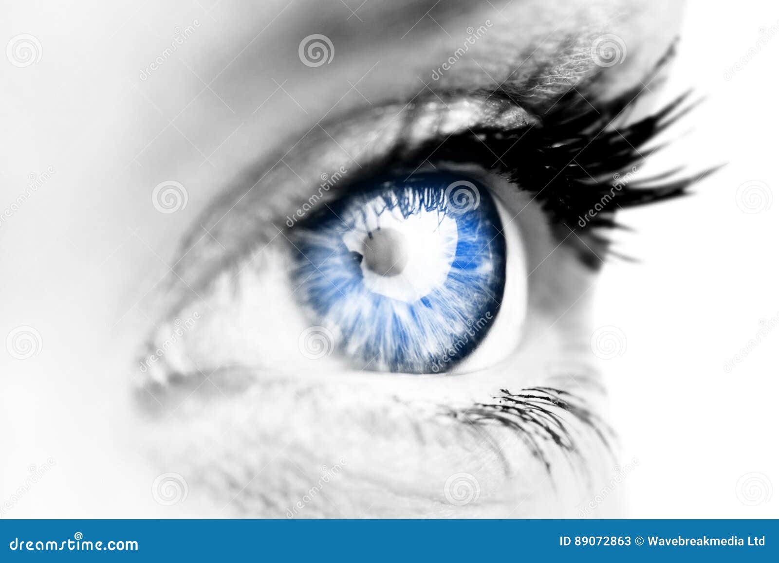 Composite Image of Close Up of Female Blue Eye Stock Image - Image of ...