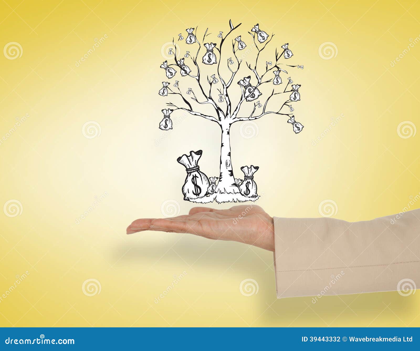 Composite Image of Female Hand Presenting Money Tree Stock Photo ...