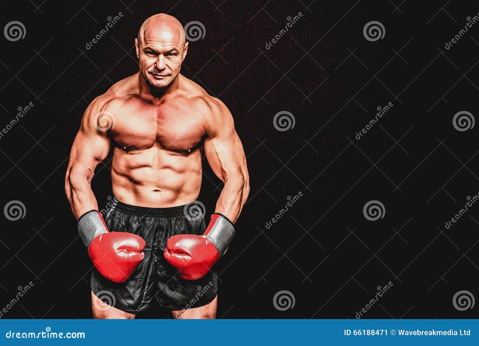 Composite Image of Portrait Full Length of Bald Boxer Flexing Muscles ...