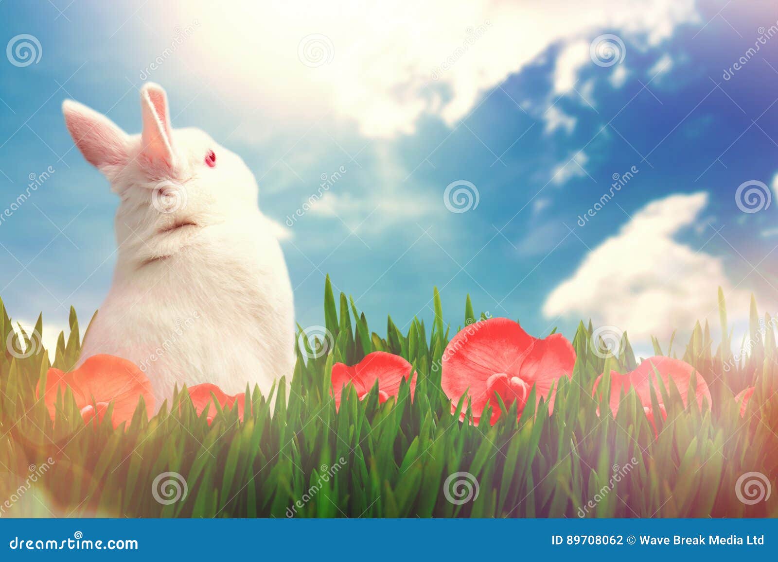 Composite Image of Rear View of Cute Rabbit Stock Illustration ...